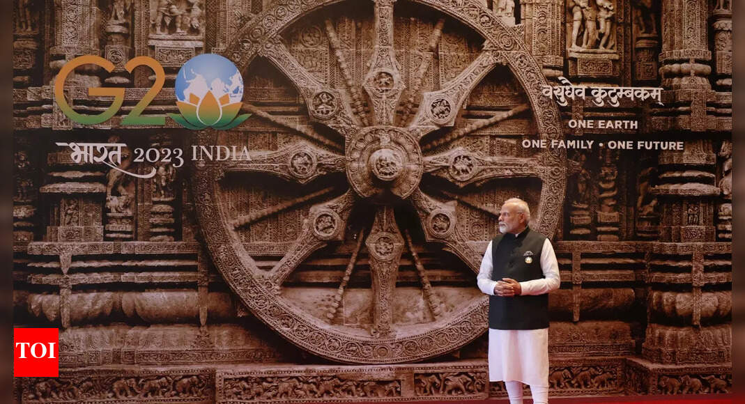 G20 Summit: India leads the way for global cooperation to bolster ...