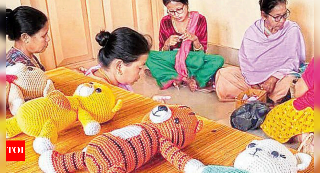 Relief camp inmates crochet amigurumi dolls for global mkt | Imphal ...
