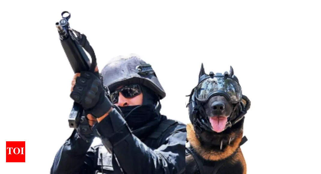 The Elite Pack: How Nsg Keeps Its K9 Sharp | Gurgaon News - Times of India