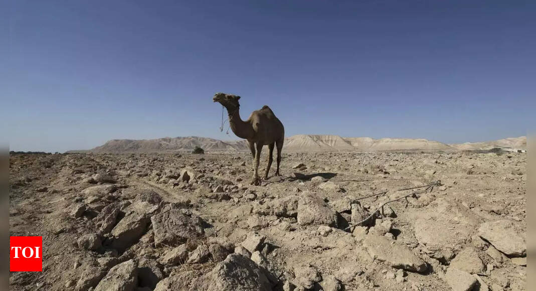 Palestine: UN committee votes to list ruins of ancient Jericho as a ...