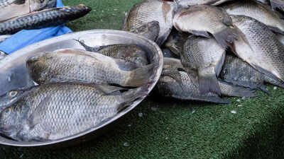 US woman loses hands, legs after consuming contaminated fish - Times of ...