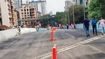 Part of 2nd arm of Delisle bridge opened for traffic | Mumbai News ...