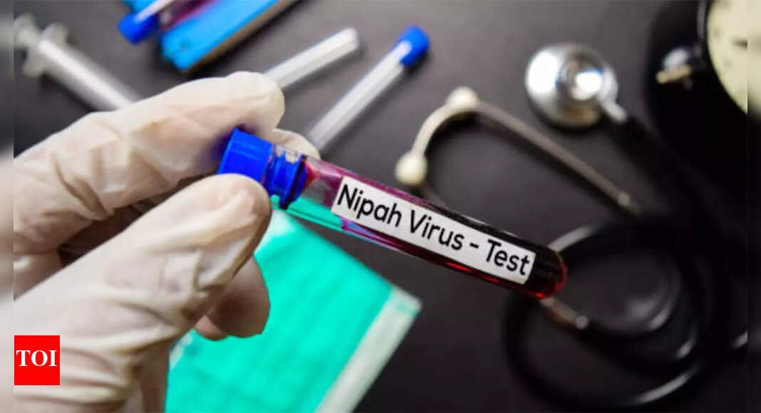 Kerala Nipah Virus Live Updates: 61 more samples test negative, says ...