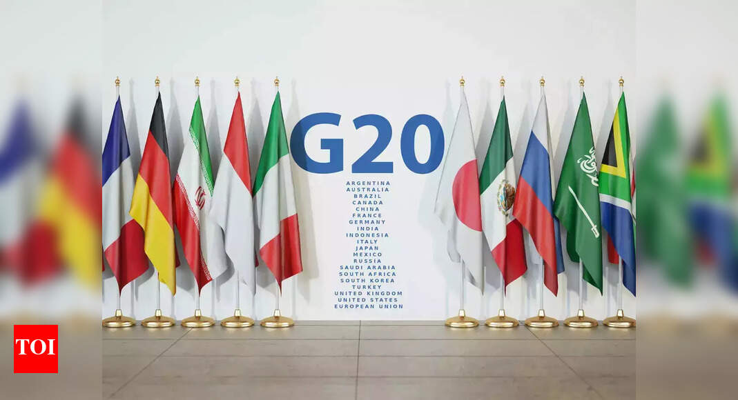 Raipur: Final two-day meet of G20 framework working group to be held in ...