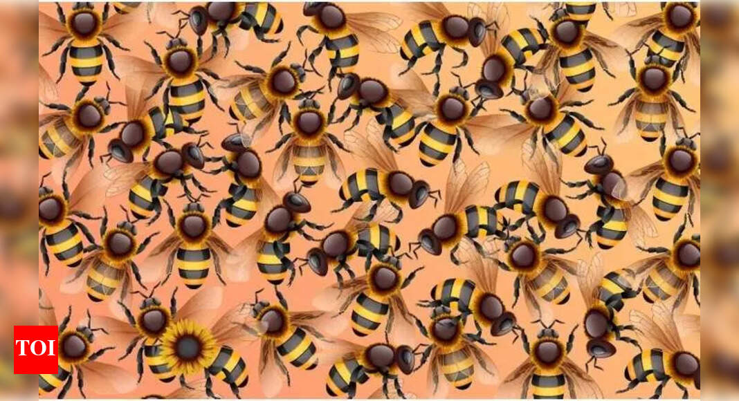Optical Illusion: Only 1 percent of viewers can spot a sunflower among ...