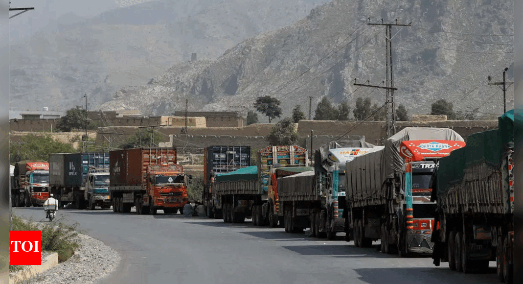 Afghan-Pakistan Border: Afghan-Pakistan border crossing reopens a week after fighting - Times of ...