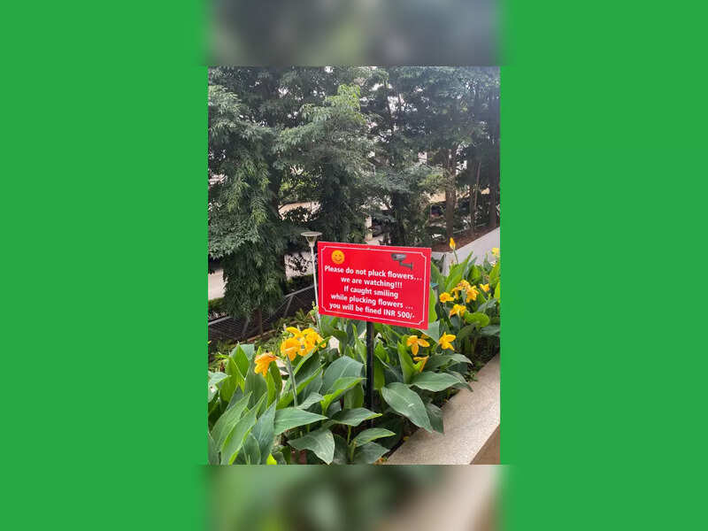 THIS "Creepiest Notice Board Ever" warns people against smiling, goes ...