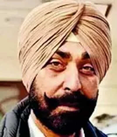 Wetland: Cong Block Chief Shot Dead In Moga | - Times of India