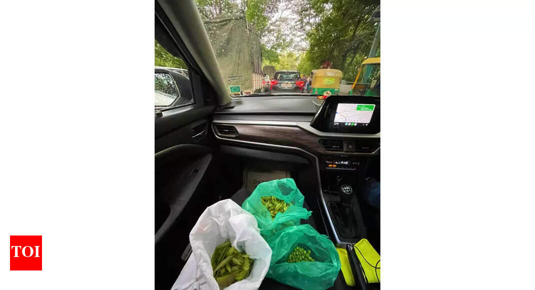 Woman peels peas in Bengaluru's traffic jam, post goes viral - Times of ...