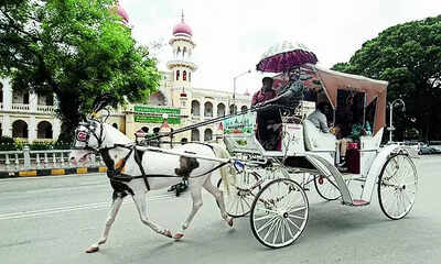 Tonga Kiosk Will Come Up Near Palace’s Varaha Gate | Mysuru News ...