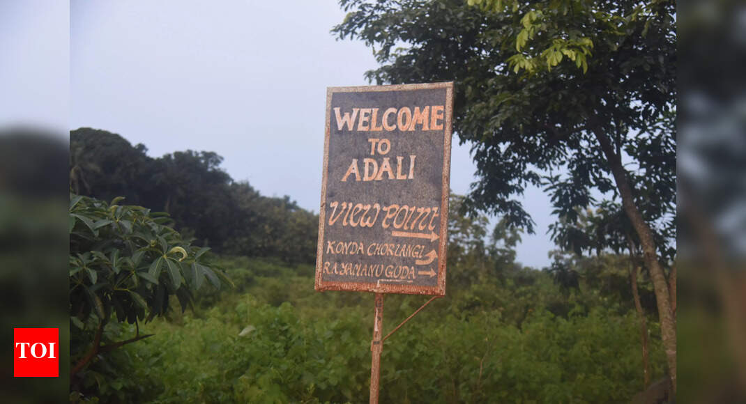 Under-the-radar Adali viewpoint in Parvathipuram inching to fame ...