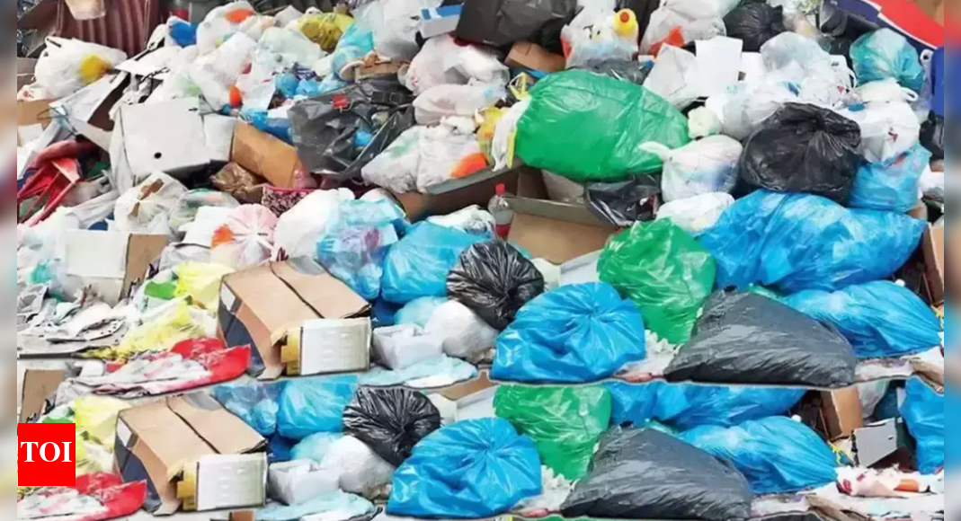 Waste segregation awareness programme held in Tamil Nadu schools ...