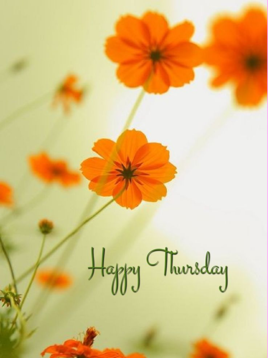 Good Morning Thursday