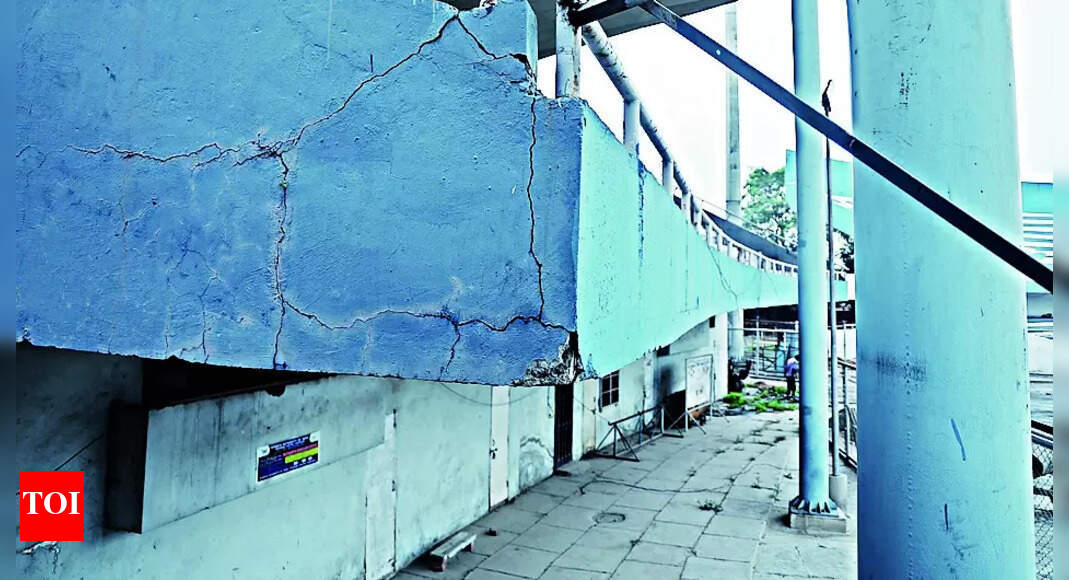Renovation: City’s Main Stadium In Poor Health: Dso | Ludhiana News ...