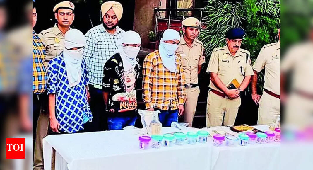 Robbery: House Help Who Robbed Ex-min Held From Delhi | Ludhiana News ...