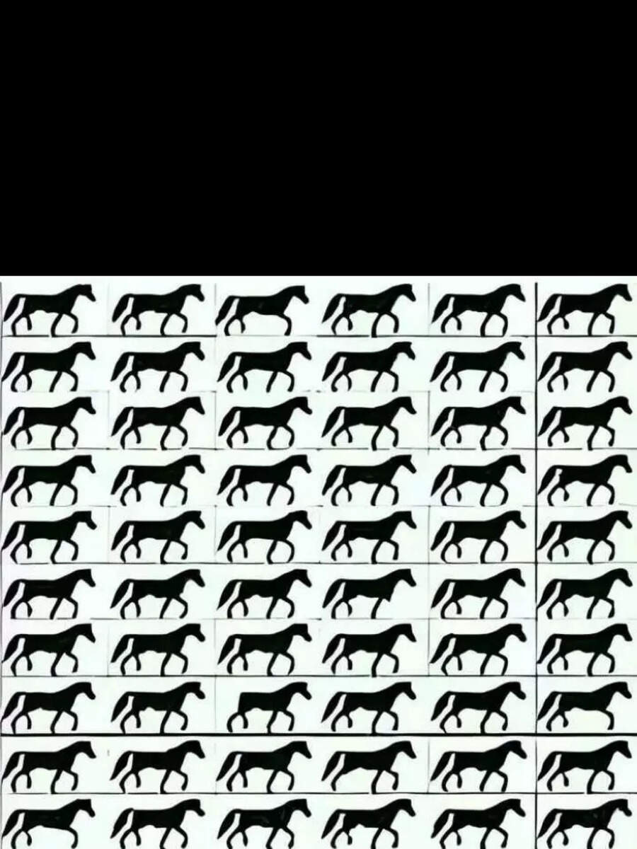 Optical Illusion Test: Find The Horse Without Tail In 7 Seconds | Times Now