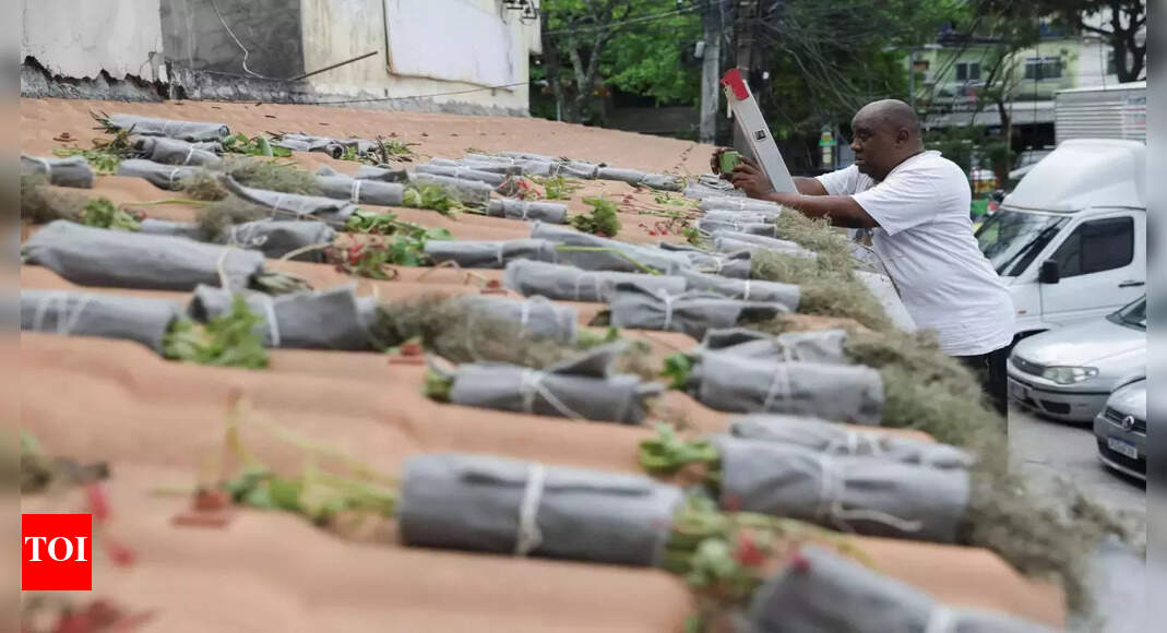 Environmental Activist: Brazil favela activist plants green roofs to ...