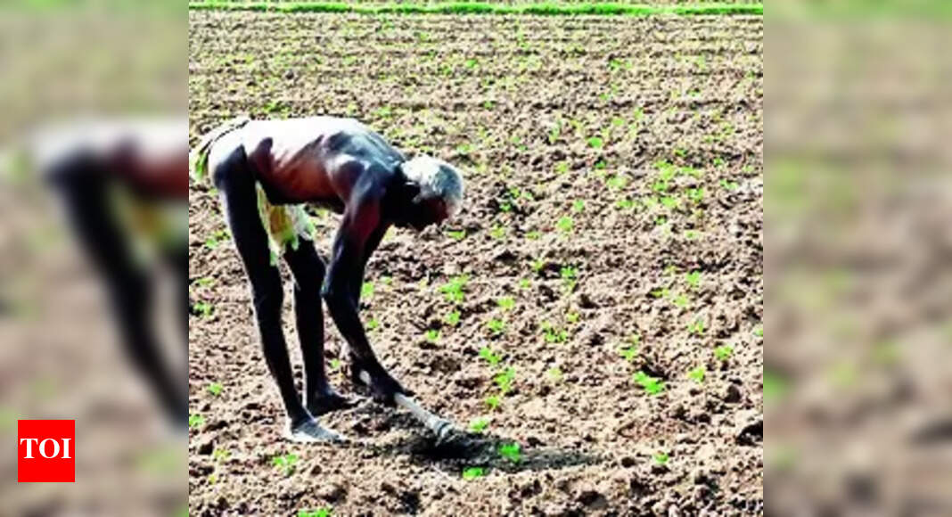 Water Scarcity: Farmers Want Delta Dists To Be Declared Drought-hit ...
