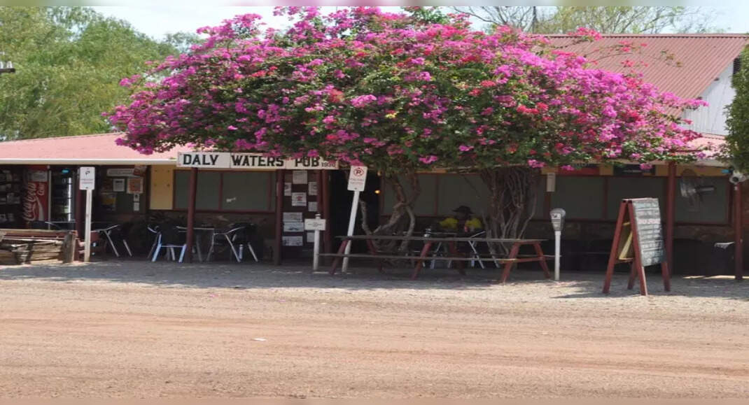Australia: Daly Waters Pub in Australia gives memorabilia a new meaning ...