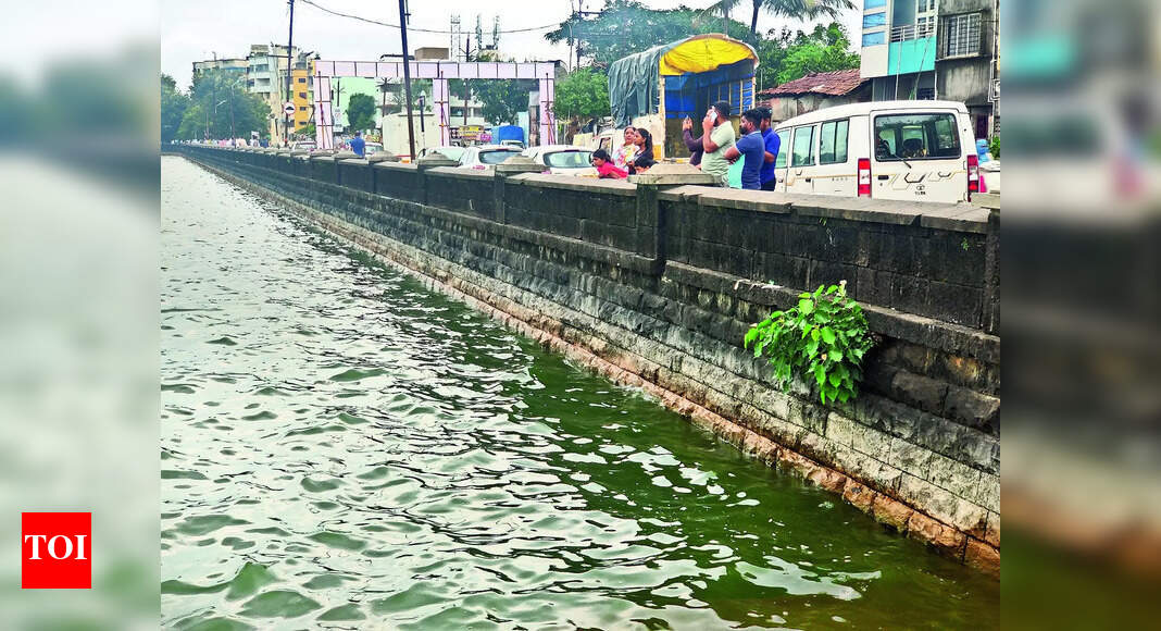 Kolhapur: State Govt Approves ₹3.6cr For Rankala Lake Conservation ...