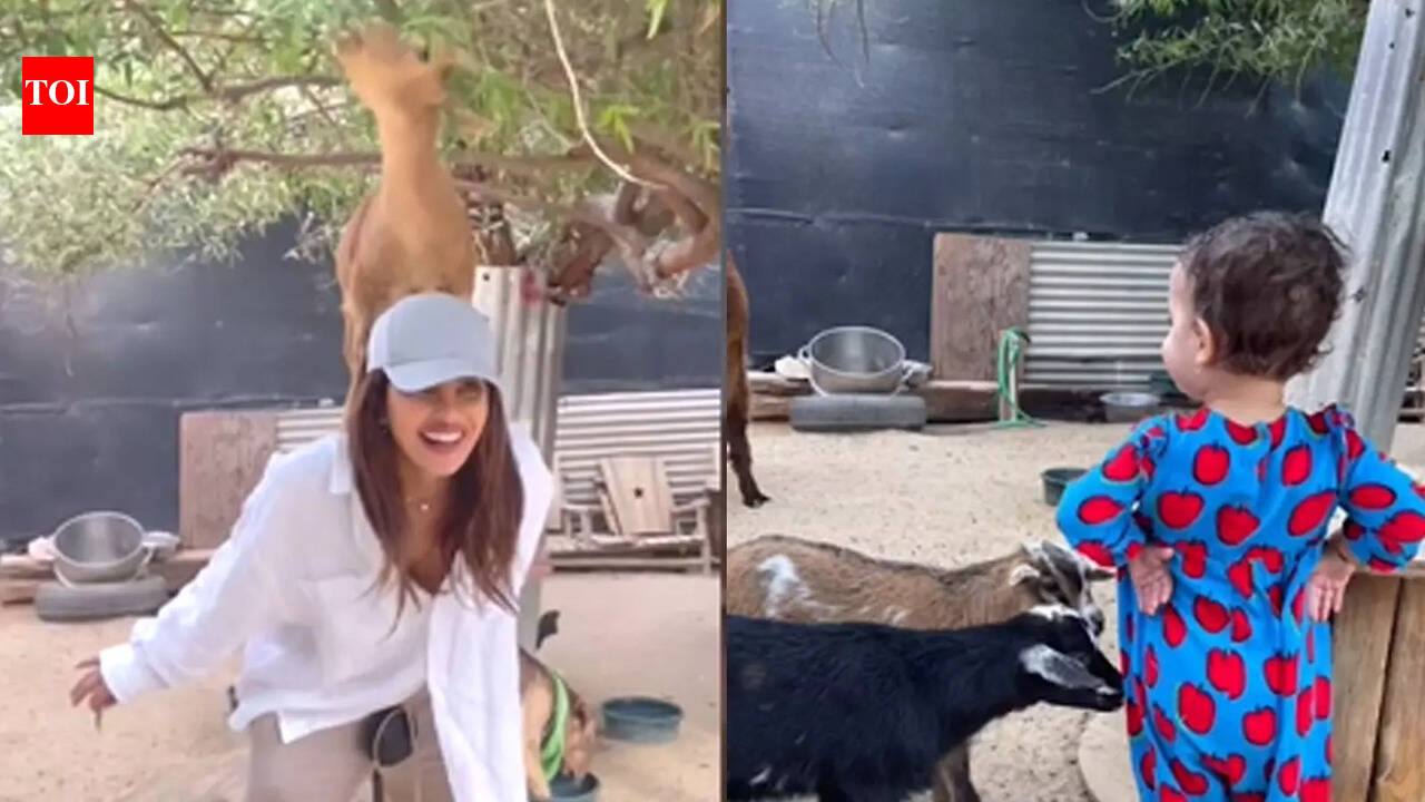 Priyanka Chopra enjoys 'farm life' with daughter Maltie; Disha Patani ...