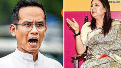 Defamation Suit: Cm Himanta’s Wife Files 10cr Defamation Suit Against Gogoi | Guwahati News ...