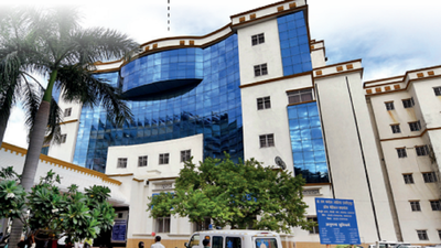 Neuroscience: In the pink of health | Lucknow News - Times of India