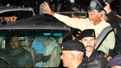 N Chandrababu Naidu's arrest: IT professionals hold car rally from Hyderabad to Rajahmundry ...