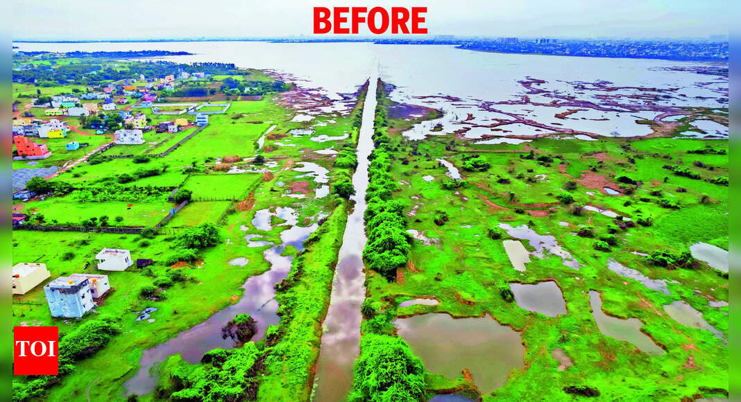 Water: Red Hills Reservoir Can Breathe Now | Chennai News - Times of India