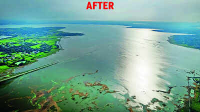 Water: Red Hills Reservoir Can Breathe Now | Chennai News - Times of India