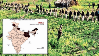 Manipur adds teeth to anti-narc force to battle 'Golden Triangle ...