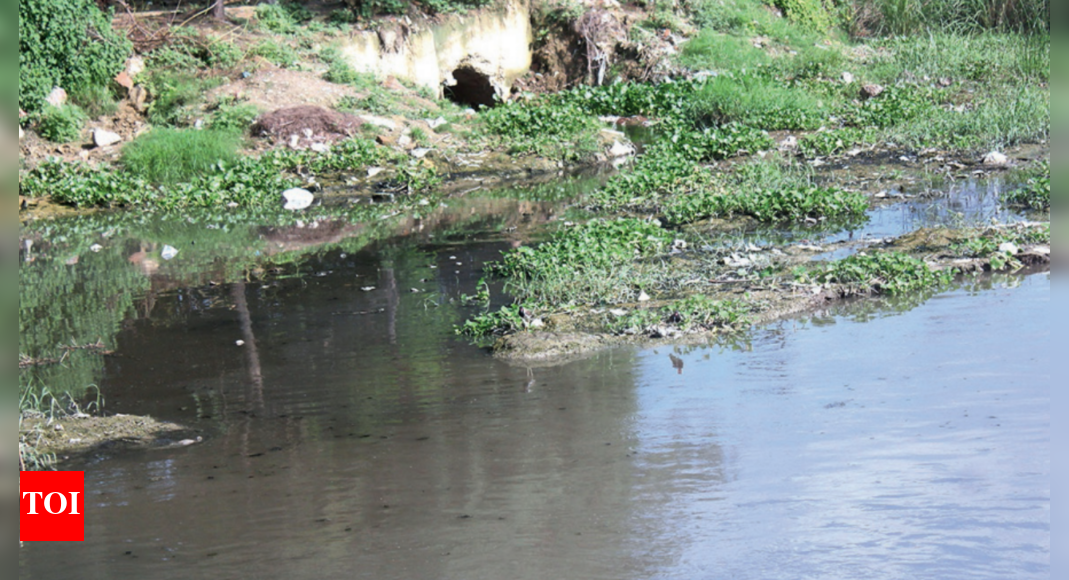 River Pollution: ‘47 Polluting Industries Off Hindon, 45 Mld Effluents Flowing Into It ...