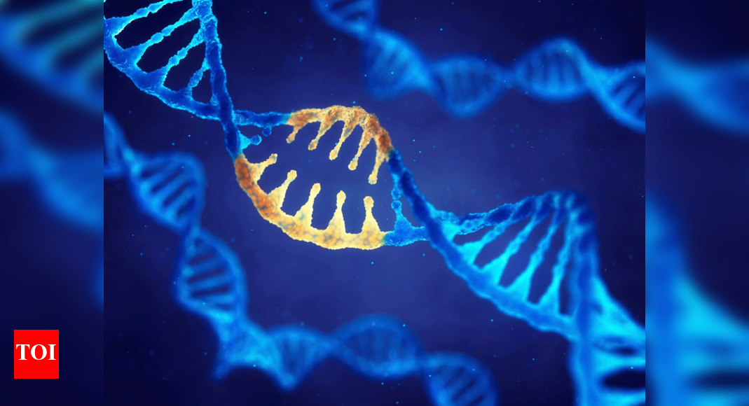 Explained: What are genes and how do they shape you? - Times of India