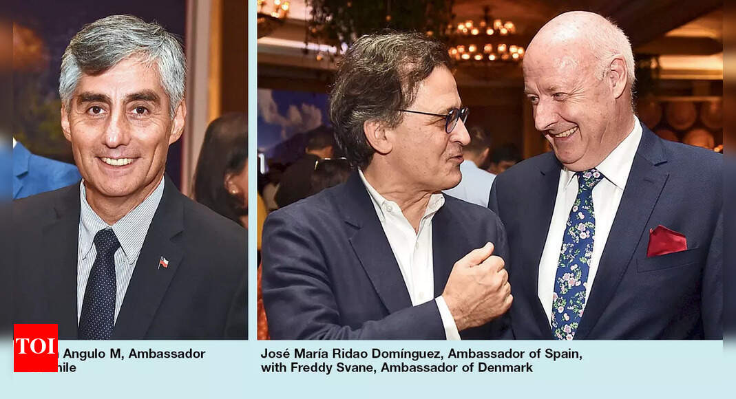 C 295 Aircraft: Spain proud to see C-295 transport aircraft in India ...