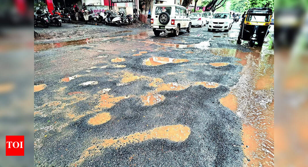 Neuroscience: Industry Captains Rue Potholes, Poor Infrastructure For ...