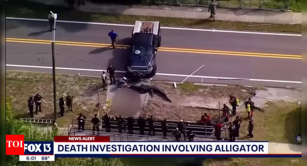 Shocking! 13-foot alligator kills a middle-aged woman in Florida ...