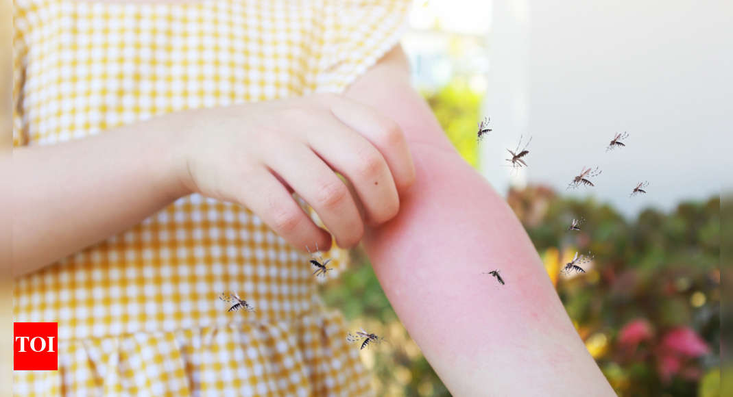 Symptoms of dengue fever and how to treat it at home | - Times of India