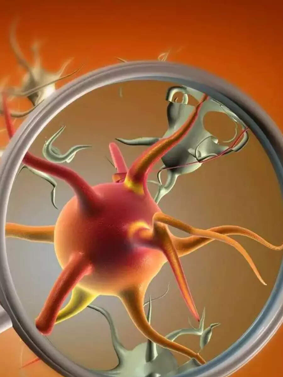 "Disease X" could bring the Next Pandemic | Times of India