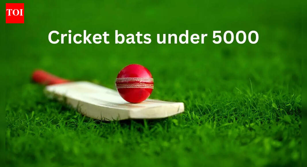 Cricket bats under 5000: Sturdy and premium picks for your games - The ...