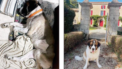 Lady Sybil's journey from Ahmedabad graveyard to Canada via France ...