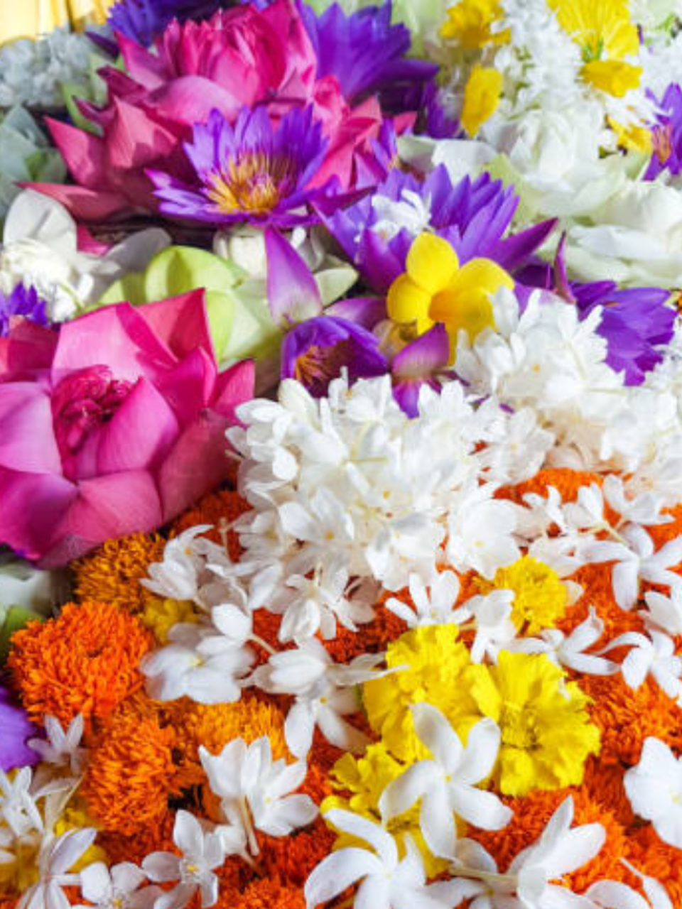 National Flower Of Uttar Pradesh | Best Flower Site