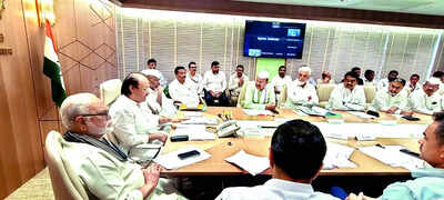 Onion, Traders, Piyush Goyal, Demands, Strike, Auctions, Duty, Exports, NCCF, Nafed, Mandis ...