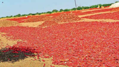 Prices: Govt Declares List Of Msp For 22 Crops In Assembly | Vijayawada ...