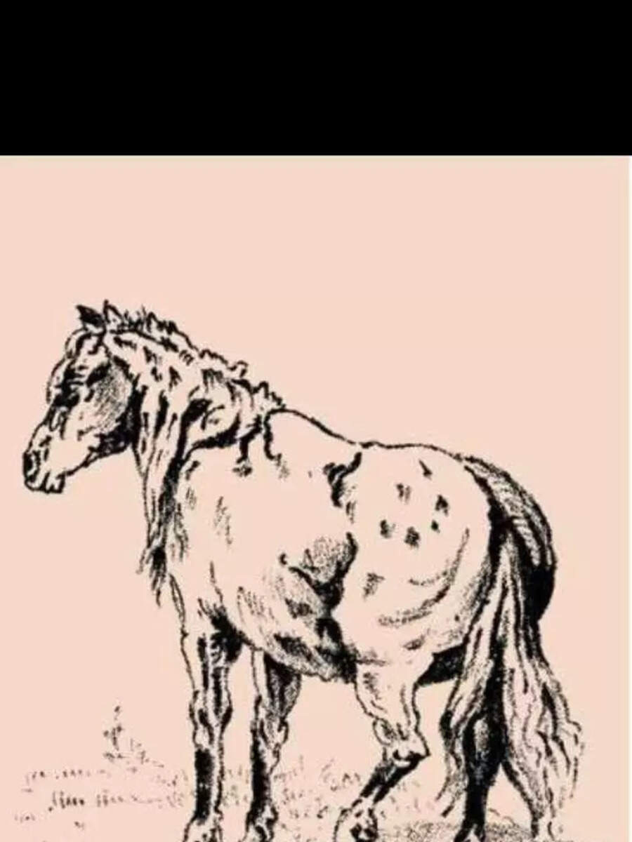 Optical Illusion Test: Spot the Hidden Horse Owner In 7 Seconds | Times Now