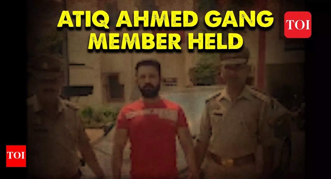 UP STF arrests Abdul Samad alias Saddam, gang member of slain don Atiq ...