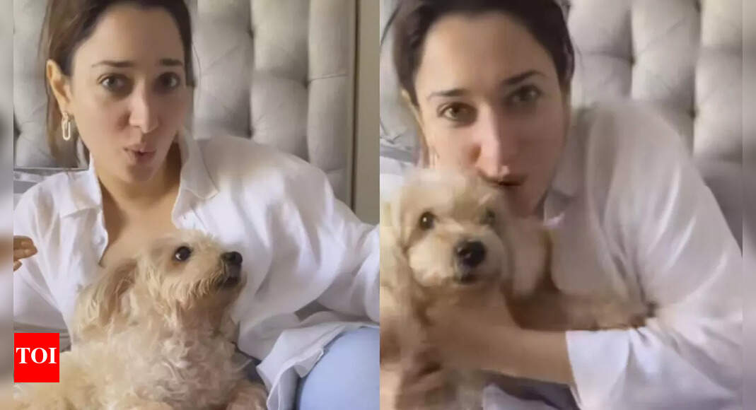 Video: Tamannaah Bhatia cuddles and plays with her pet, fans found it ...