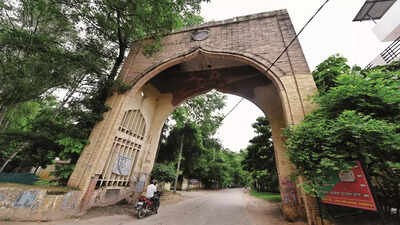 A starlight safari in Lucknow's Kukrail forest | Lucknow News - The ...