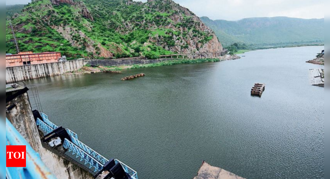 Greens warn govt of consequences over leasing islands in 2 Rajasthan ...