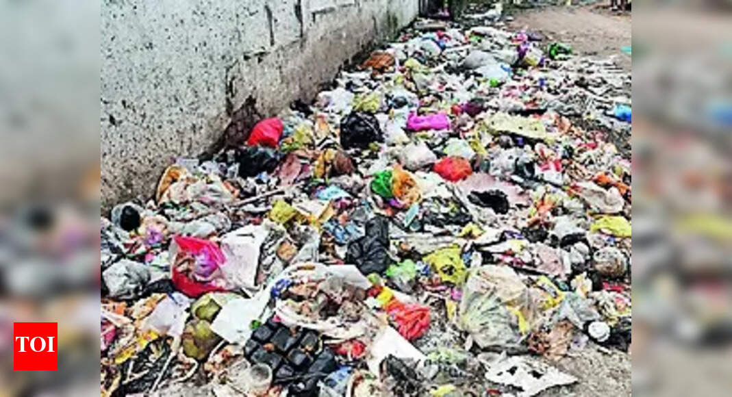 Sanitation: Heaps Of Garbage Pose Health Hazards | Patna News - Times ...
