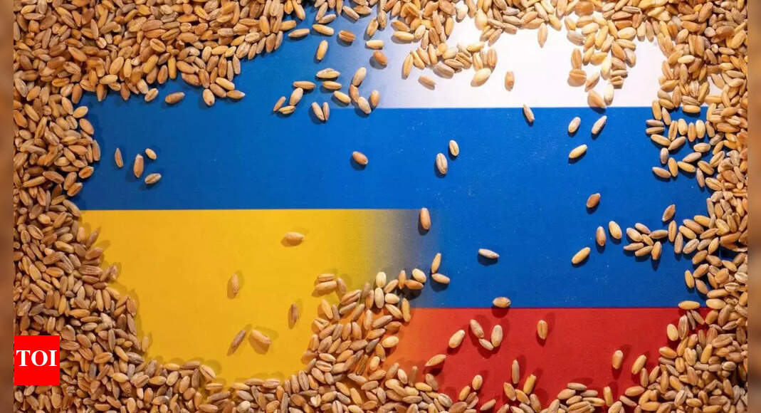 Ukrainian Drone: Ukrainian drone hits Russian power substation ...